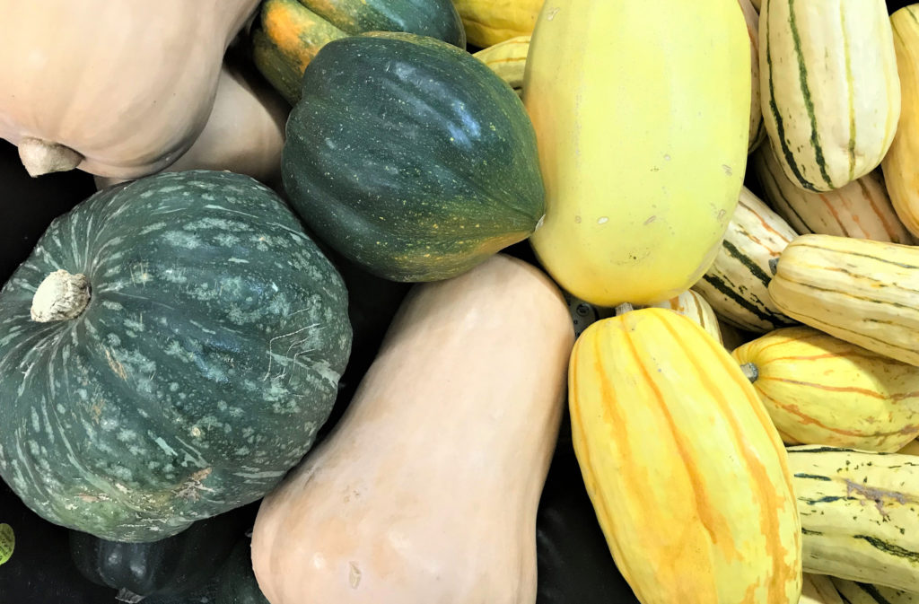 5 Winter Squashes You Must Try • Sarah Koszyk